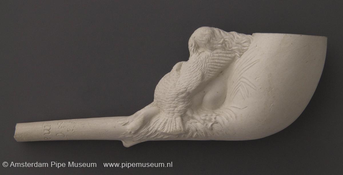 Collection APM 8.202