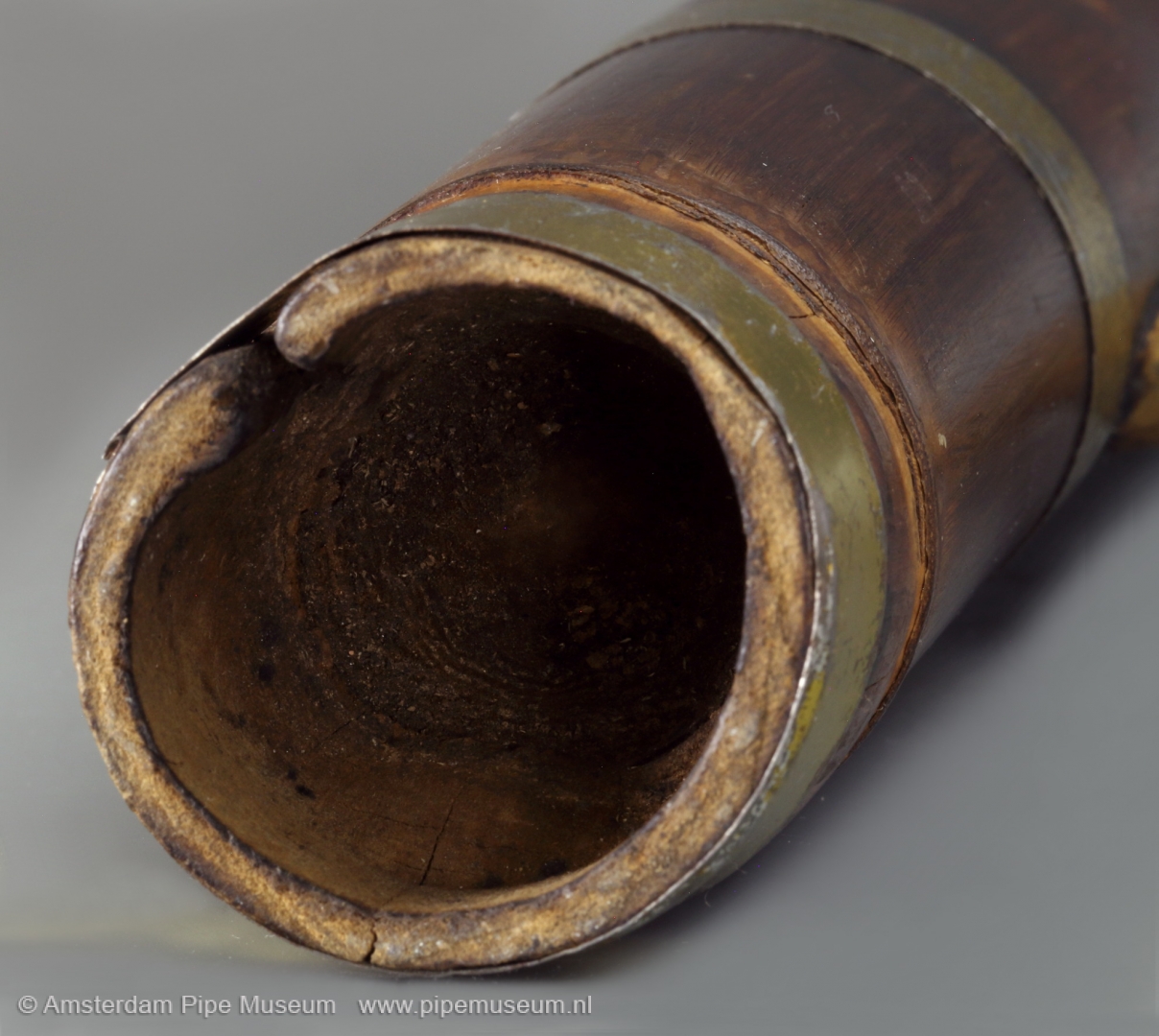 Collection APM 30.005