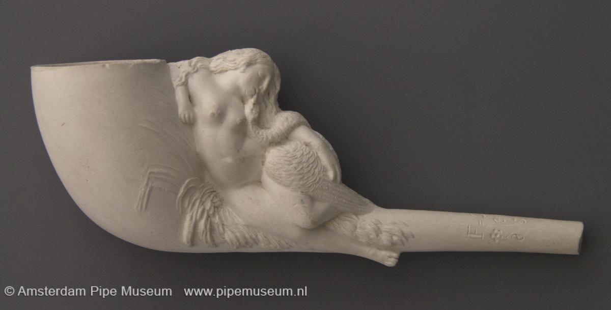 Collection APM 8.202