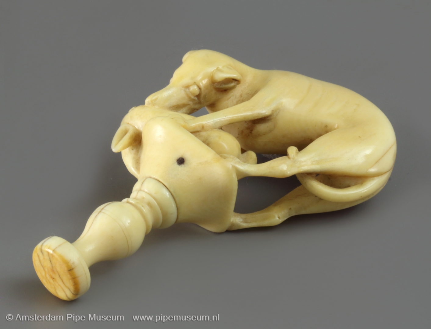 Collection APM 30.294