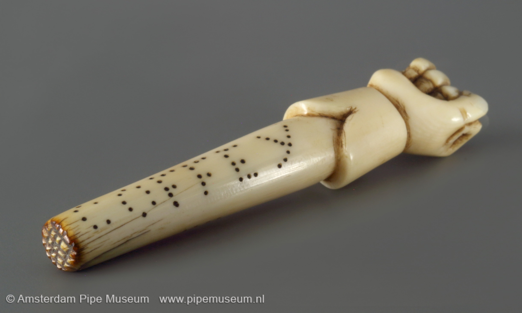 Collection APM 30.319