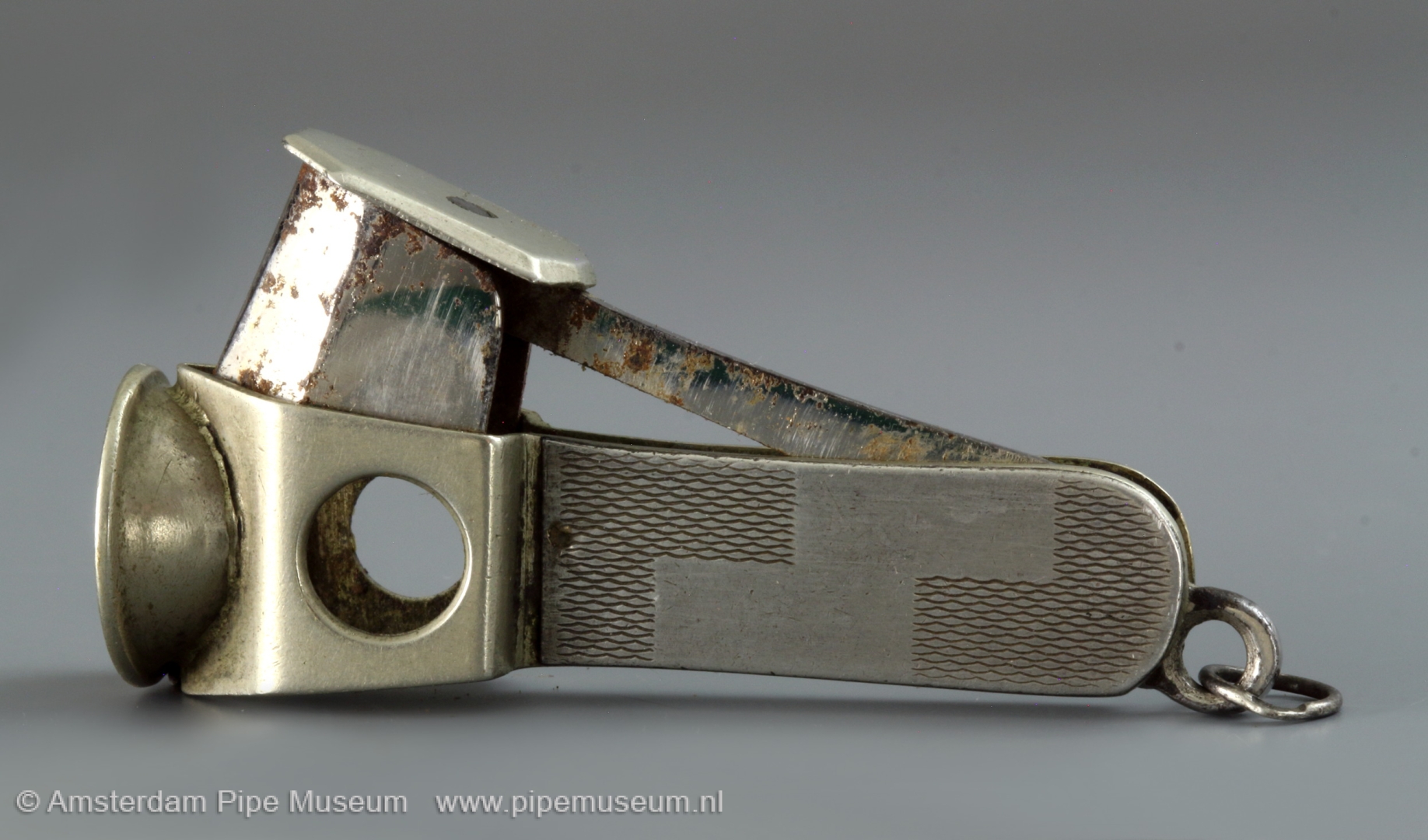 Collection APM 31.337
